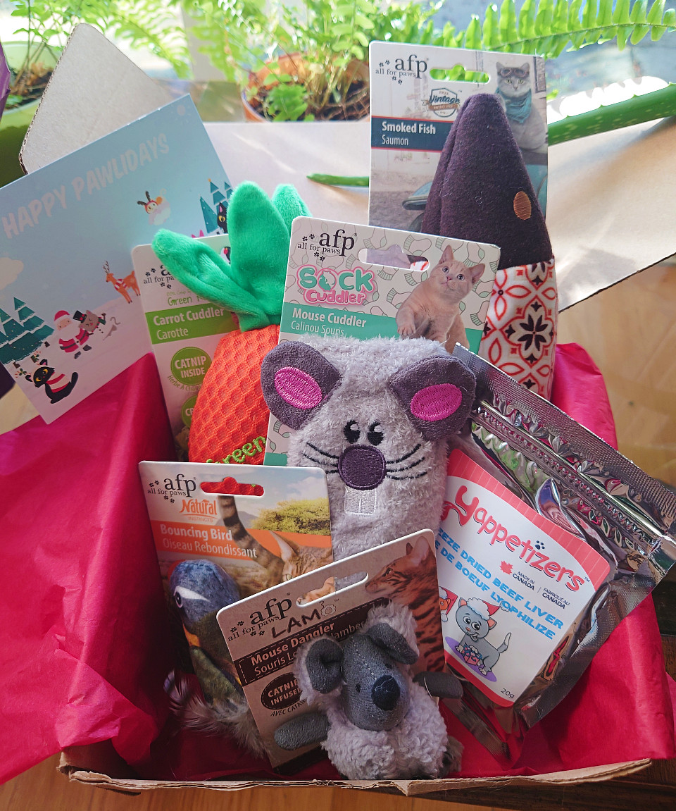 Woof Pack – Cat Box (Limited Edition) – wanderingfawn